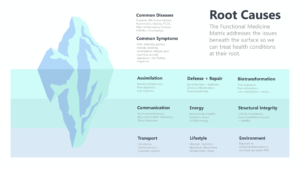 Functional Medicine - Whole Roots Health | Dr. Brianna Browning, LAc, IFMCP